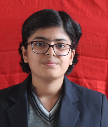 Somerville School, Noida